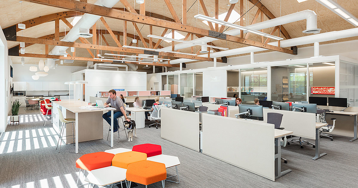 HB Workplaces | Our Team