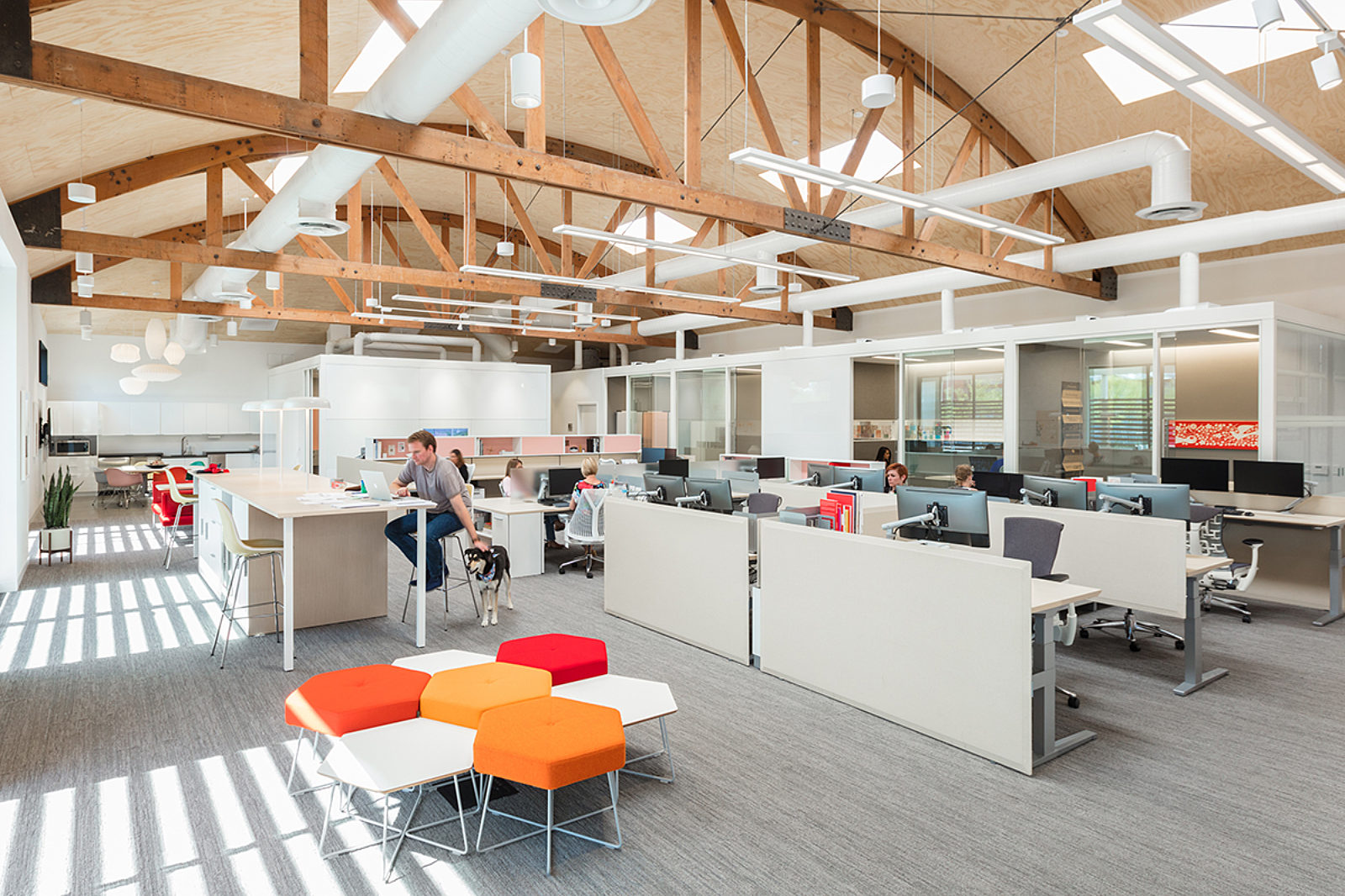 HB Workplaces | Our Team